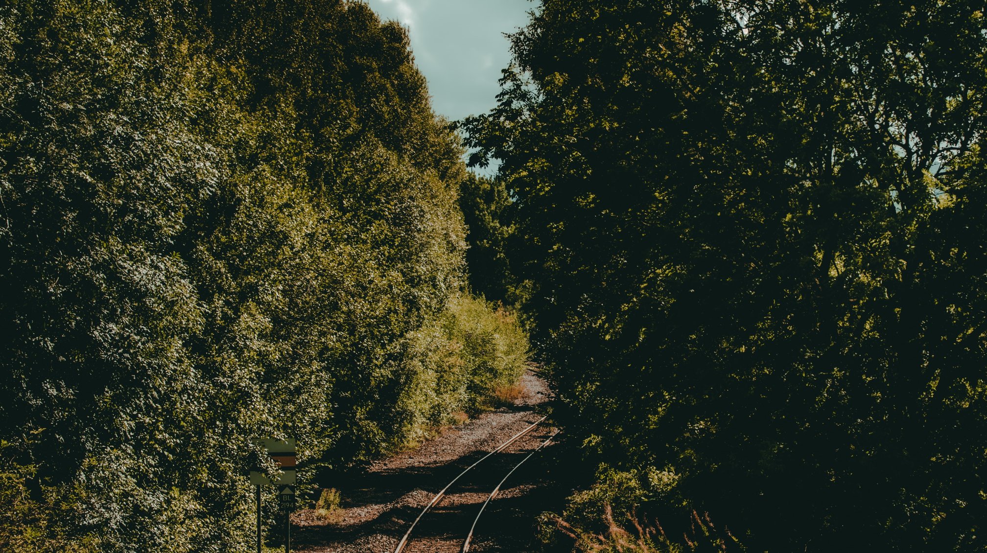 NEXTWave™ Rail | Intermap