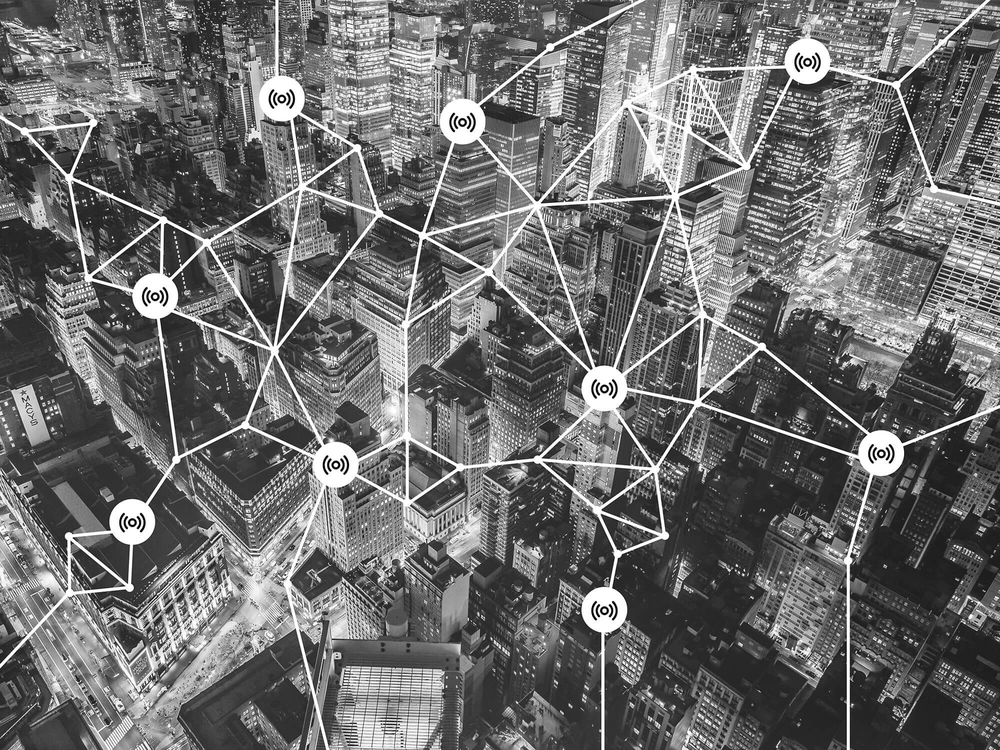 Real World Networks Need Real World Data